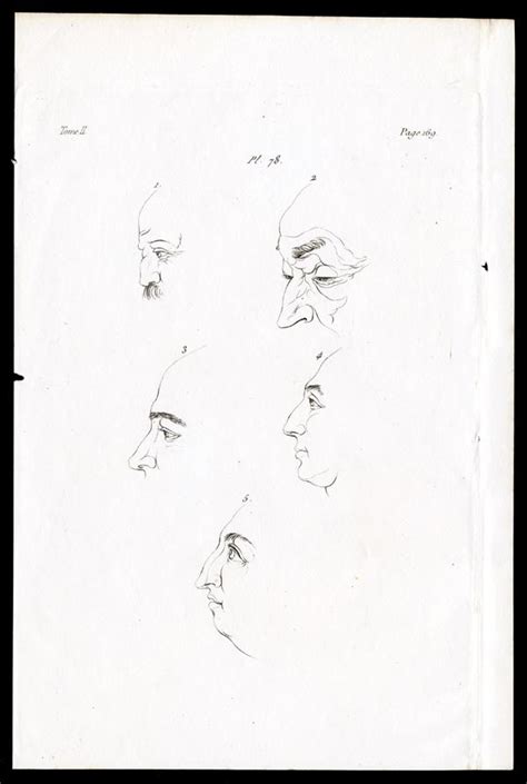 Antique Print Physiognomy Nose Face Lavater 1835 Art Print Poster