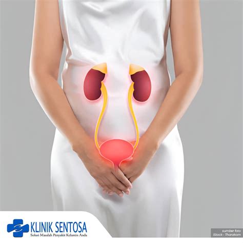 Mengapa Interstitial Cystitis Sering Terjadi Pada Wanita Klinik