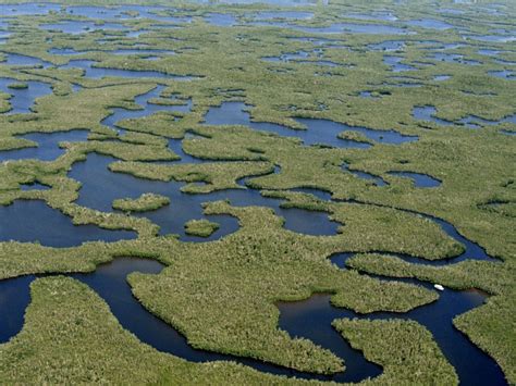 Everglades National Park Photos National Geographic