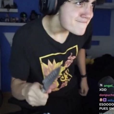 Integrantes Del Qsmp Y Sus Descripciones 😸👍 [video] Humor De Twitter Celebridades Divertidas