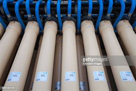 Uv Bacteria Photos And Premium High Res Pictures Getty Images