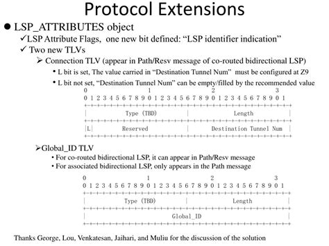 PPT RSVP TE Extensions To Exchange MPLS TP LSP Identifiers PowerPoint Presentation ID 5357675
