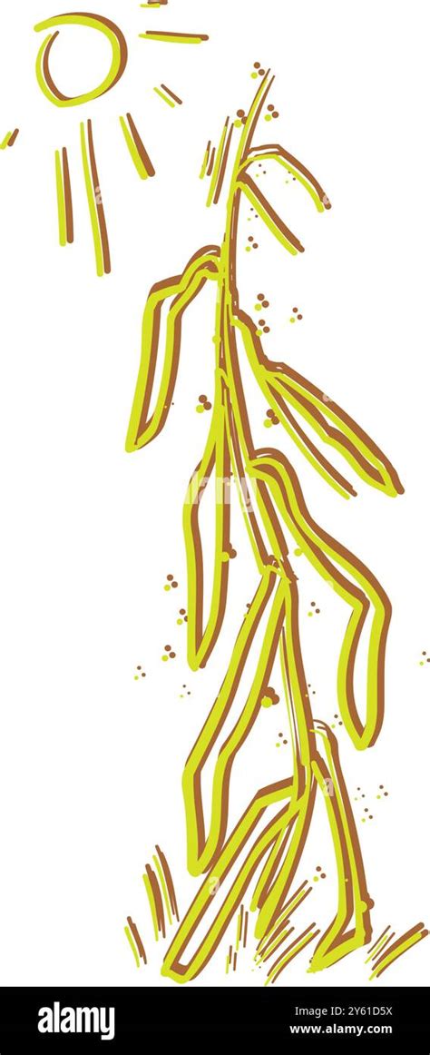 Corn Haystack In Rectangular Bundle With Ropes Countryside Farm Agriculture Haystack Vector