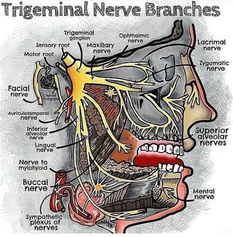 Medknowledge