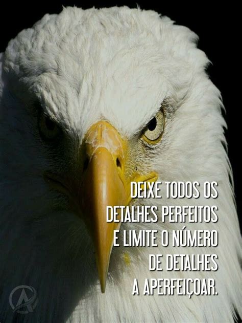 Pin by Adriana Andrade Tomaz on Citações e pensamentos Bald eagle
