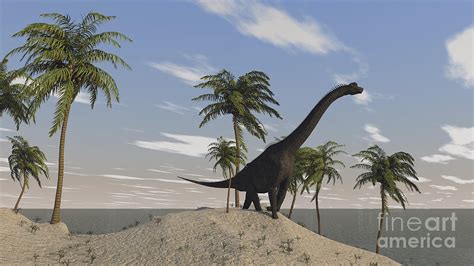 Large Brachiosaurus Roaming An Tropical Digital Art By Kostyantyn