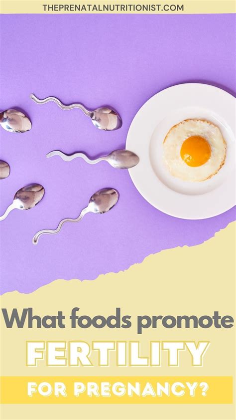 Fertility Nutrition Do S And Don Ts Artofit