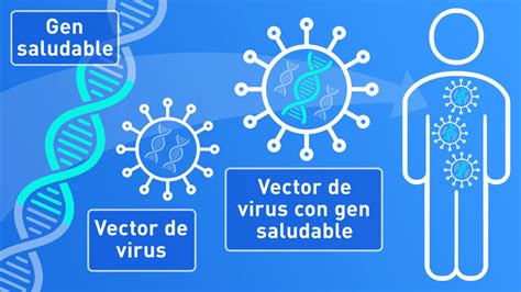 Qué es la terapia génica Cómo funciona Fundación Síndrome de Dravet