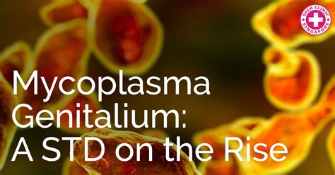 Mycoplasma Genitalium A Std On The Rise