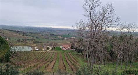 Moncaro Nel Baratro Addio Al Concordato La Cooperativa è Fallita