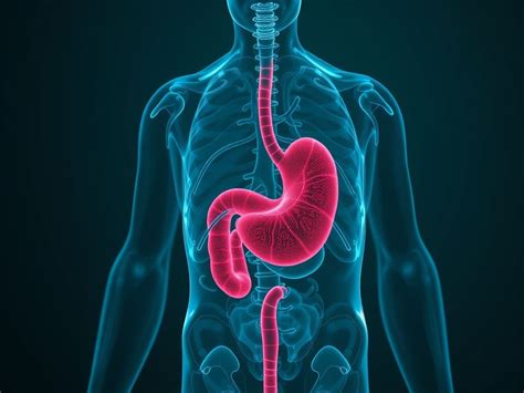 Cid Gastroenterite Não Infecciosa Clinicas Popular