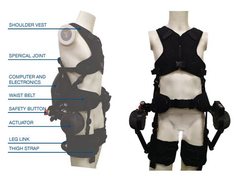 Back Support Exoskeleton Control Strategy For Pulling Activities