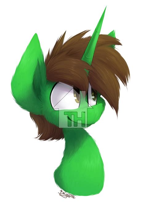 Hazel Nut On Toyhouse