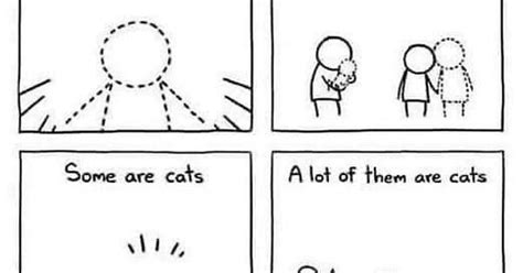 So Many Cats Album On Imgur