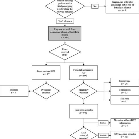 Study Flowchart And Sample Derivation Shaded Boxes Indicate Study