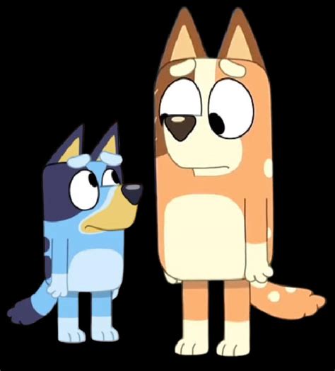 Bluey And Chilli Sad Renders By Mhjkn On Deviantart