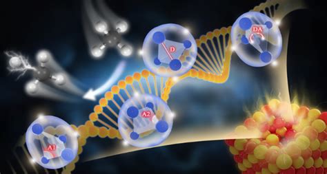 王海丰教授jacs：拓扑结构基因助力活化c H键金属氧化物的搜索与设计