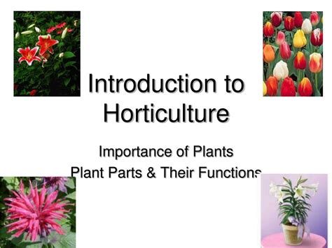 Ppt Introduction To Horticulture Powerpoint Presentation Free