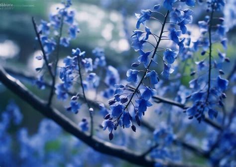 Premium Ai Image Prompts Dont Match If You Want To Unify Them Edit The Field Above