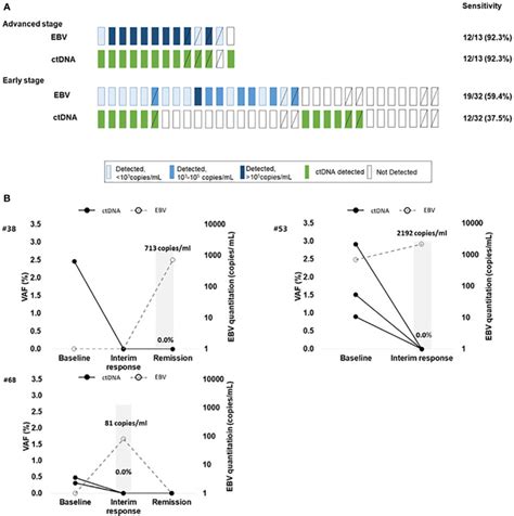 In Depth Circulating Tumor Dna Sequencing For Prognostication And Monitoring In Natural Killert