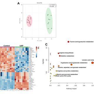 Serum Metabolomics Changes A PCA Analysis On Metabolites In Serum Download Scientific