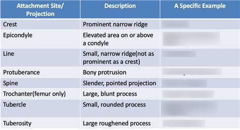 Surface Feature Pt 3 Diagram Quizlet