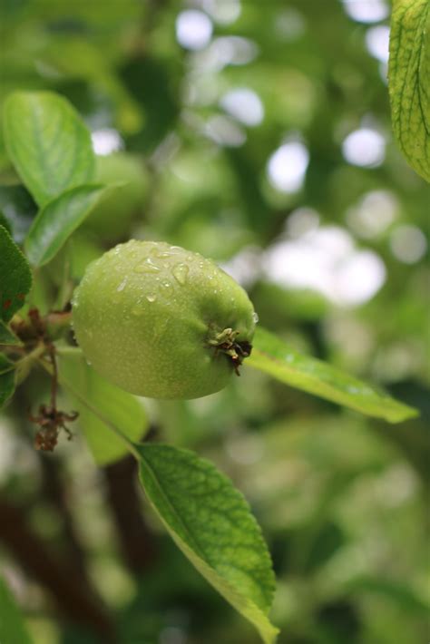 Img 4760 Chaker Mouelhi Flickr