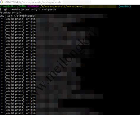 Git清理无效的远程追踪分支 进城务工人员小梅