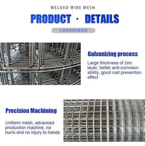 Welded Wire Mesh Wire Mesh Welded Netting Ss Material Welded Mesh