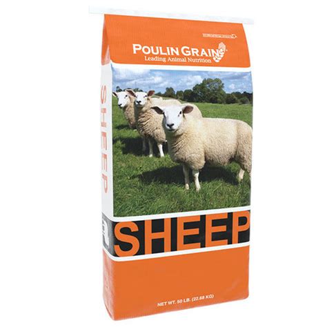 Wooly The Sheep Would Love Sheep Pellets 50 Lbs Cooperscrossroad