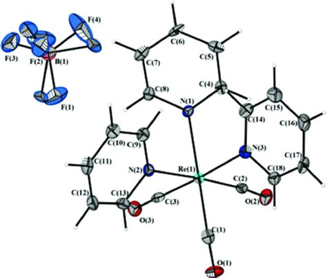 The Molecular Structure Of The Title Compound With Atom Labelling