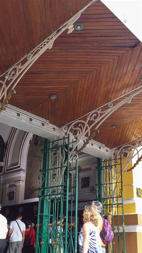 8 Biomorphic Forms And Patterns Rootedinnature