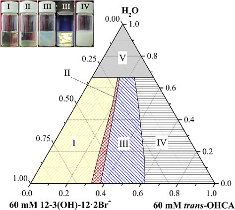 Pseudo ternary phase diagram of 12-3(OH)-12$2Br − /trans-OHCA/H 2 O... | Download Scientific Diagram