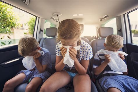What The Health What Causes Motion Sickness Faculty Of Health And Behavioural Sciences