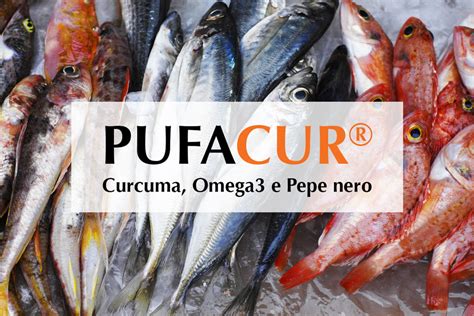 Acidi Grassi Polinsaturi Omega 3 Ala Epa Dha Vanda Integrative Medicine
