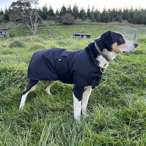 New Zealand Made Waterproof Dog Jacket
