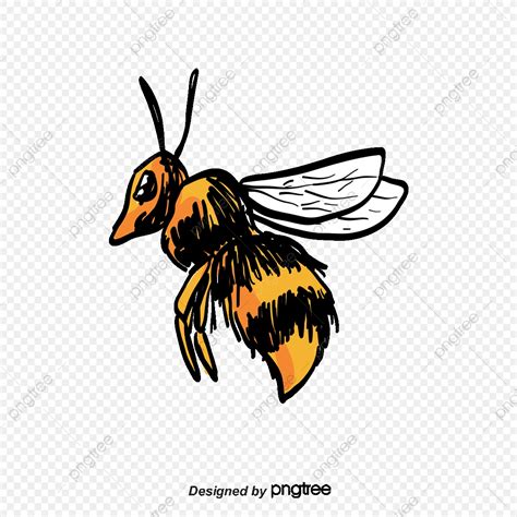 Bumblebee Insect Drawing At Explore Collection Of Bumblebee Insect Drawing