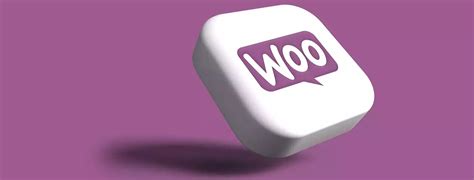 WOOCOMMERCE GUIDE Référencement Google Gratuit