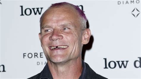 Flea Musician Alchetron The Free Social Encyclopedia