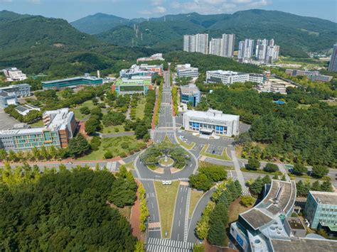 2025 대입정시 대구가톨릭대 학과 구분없이 단과대학 단위 통합 선발지원자 희망학과 100 진학 영남일보