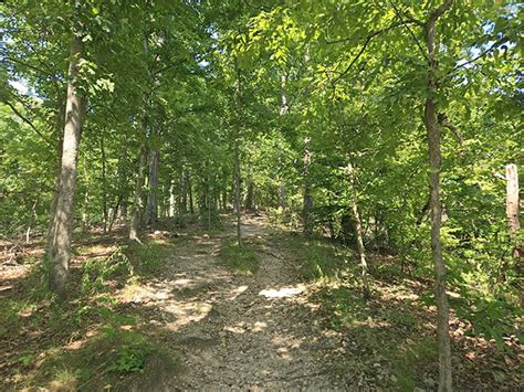 Finding Time For A Quick Escape The North Canal Loop Trail