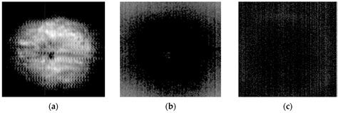 Application Of Attention Enhanced 1d Cnn Algorithm In Hyperspectral Image And Spectral Fusion