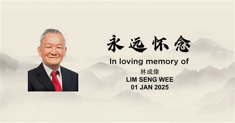 林成偉 Lim Seng Wee • Fairy Park