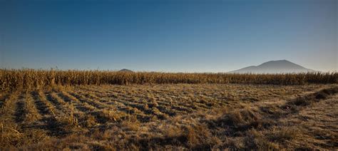 Photodocumentary Resilience Food Stories Home Featured Stories