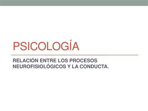 Sistema Nervioso Central Y Periferico Resúmenes De Psicología Docsity