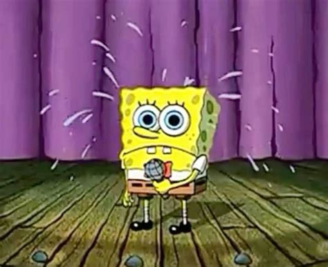 Spunch Bob Scared Spongebob Funny Pictures Funny Spongebob Memes Spongebob Funny