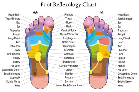 The Best Acupressure Points For Anxiety Relief Through Reflexology