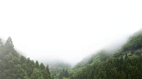 미터기 환경 Meter Group