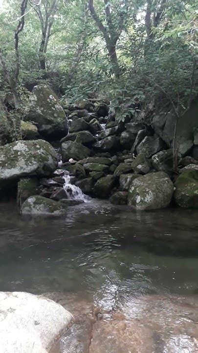 귀여운 폭포 Youtube