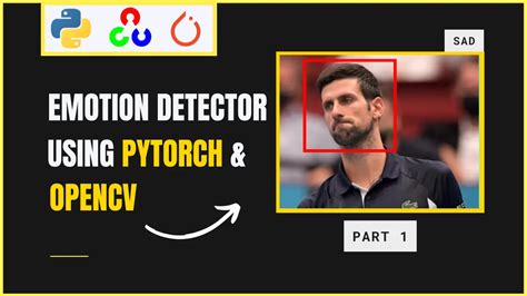 training an emotion detection system using pytorch neuraspike